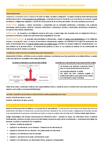 TEMA-13-CONCEPTOS-GENERALES-DE-LA-PROFESION-Y-RESPONSABILIDAD ...