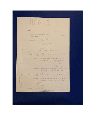 ejercicios-corregidos-tema-5.pdf