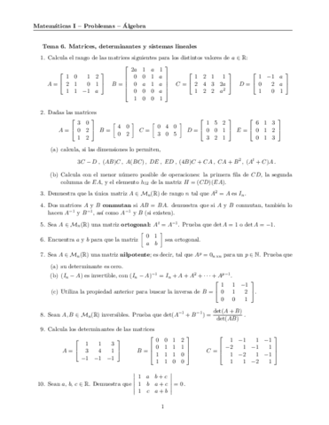 Problemas-6-Matrices.pdf