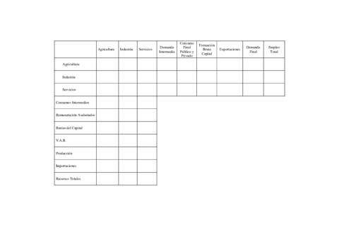 PLANTILLA-TABLA-INPUT-OUTPUT.pdf