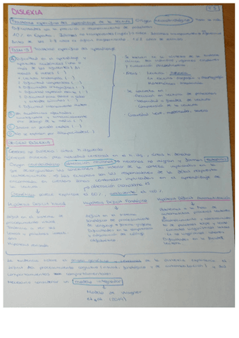 Esquema-resumen-T.5-Dislexia.pdf