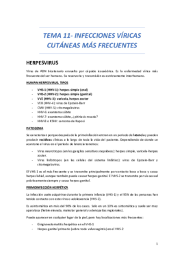 TEMA 11- Viriasis.pdf