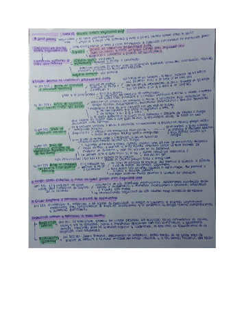 ESQUEMA-TEMA-19-PENAL-II.pdf