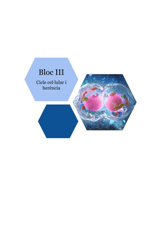 BCG: bloc III-cicle cel·lular i herencia.pdf