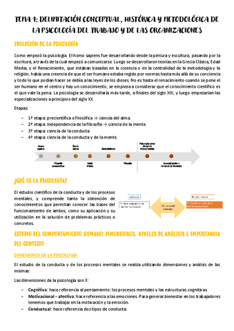 Tema-1-psicologia-del-trabajo-y-de-las-organizaciones.pdf