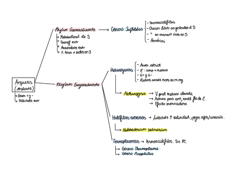 esquemas-tema-12.pdf