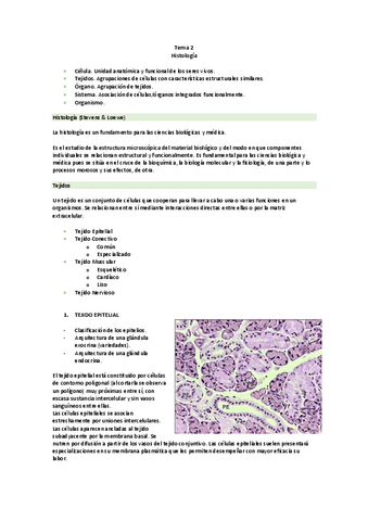 TEMA-2.pdf