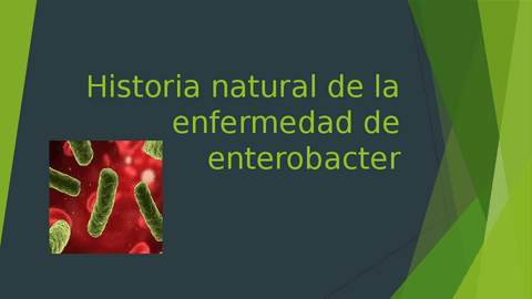 historia-natural-de-la-enfermedad-de-enterobacter.pdf
