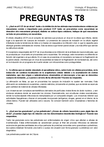 Preguntas-T8-resueltas.pdf