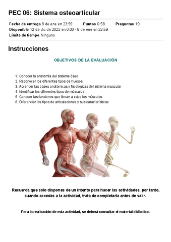 PEC-06-Sistema-osteoarticular-Anatomofisiologia-y-patologia-basicas.pdf