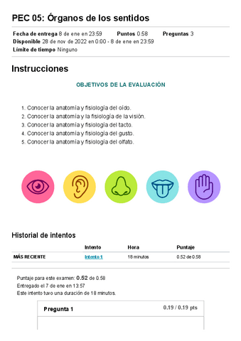 PEC-05-Organos-de-los-sentidos-Anatomofisiologia-y-patologia-basicas.pdf