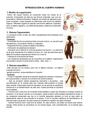 Introduccion Al Cuerpo Humano Pdf