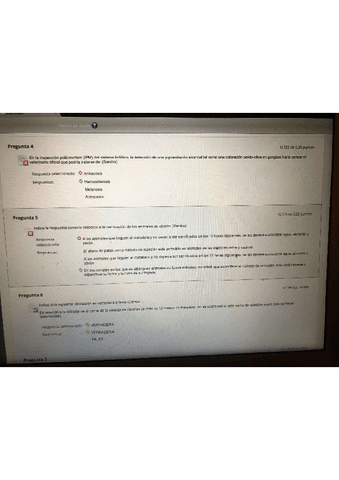 Bloque-B-higiene-respondus.pdf