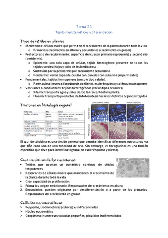 Tema-21.pdf