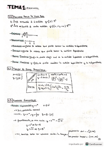 TEMA-1-FUNCIONES.pdf