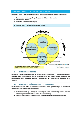 Tema-1-La-empresa-como-un-sistema-complejo.pdf