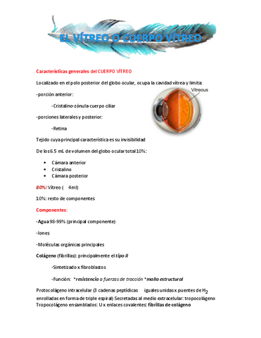 EL-VITREO-O-CUERPO-VITREO.pdf