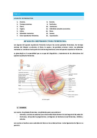 TEMA-9-FISIO-2.pdf