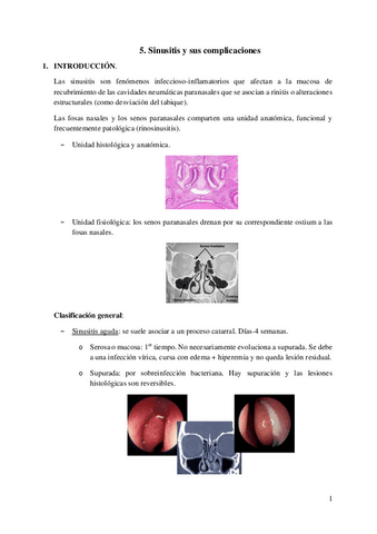 5.-Sinusitis-y-sus-complicaciones.pdf