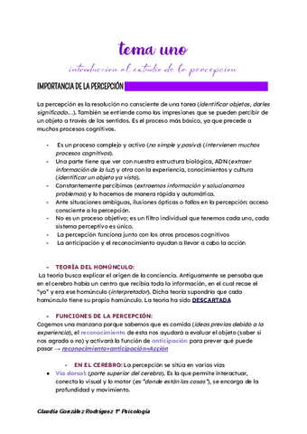 Tema 8 Atencion Selectiva Y Visual Pdf