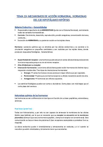 TEMA-19.pdf