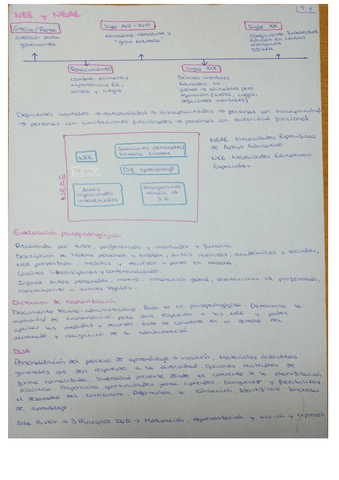 T.-1-NEAE-y-NEE-esquema-resumen.pdf