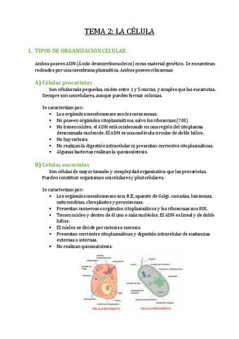 PREGUNTAS EXAMEN. TEMA-2-LA-CELULA.pdf