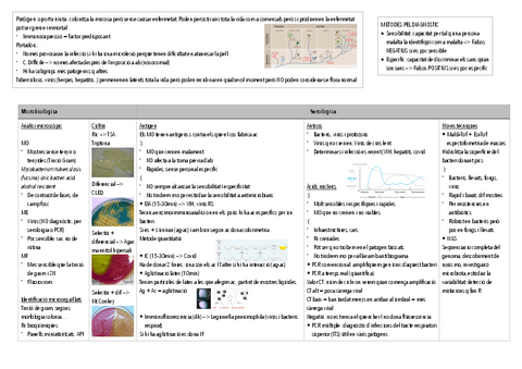 TOT-micro-resumit-en-taules.pdf