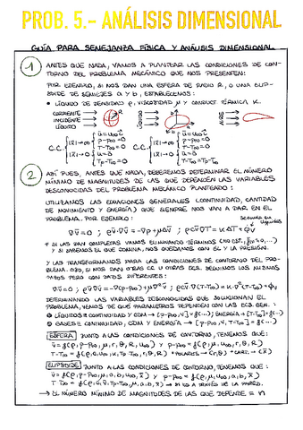 5.2.-Prob.-Analisis-Dimensional.pdf