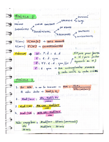 PASO-A-PASO-PRACTICAS.pdf