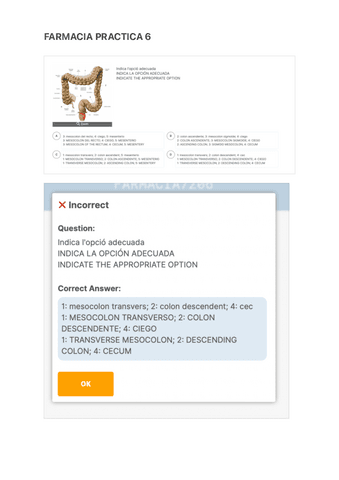FARMACIA-PRACTICA-6-SOCRATIVE.pdf