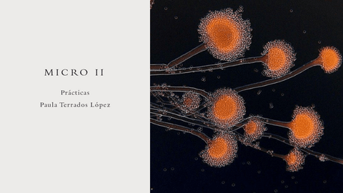 Micro-II-practicas.pdf