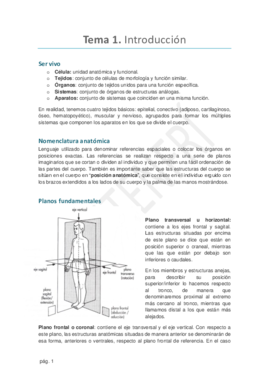 Anatomía Humana.pdf