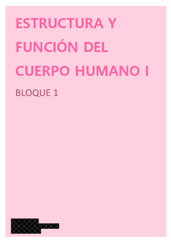 bloque-1-ESTRUCTURA-Y-FUNCION-DEL-CUERPO-HUMANO-I.pdf