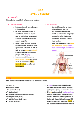 TEMA-9-AP.-DIGESTIVO.pdf
