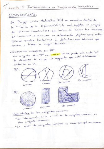Leccion-5.-INTRODUCCION-A-LA-PROGRAMACION-MATEMATICA.pdf