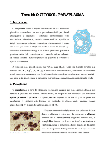 Bio-cel-tema-16-o-citosol-paraplasma.pdf