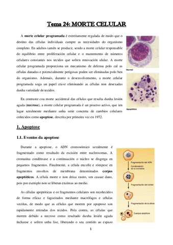 Bio-cel-tema-24-morte-celular.pdf