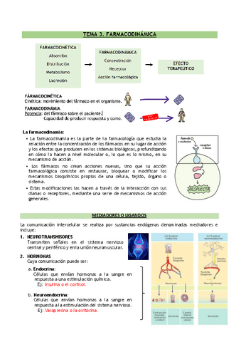 Tema-3.-farma.pdf
