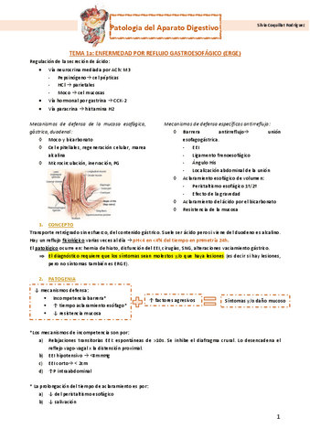 Resumen-digestivo.pdf