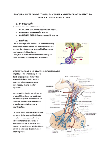 Tema-8-Anatomia.pdf