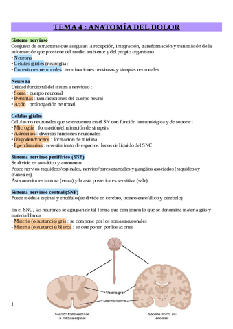 Tema-4-Anatomia-del-dolor.pdf