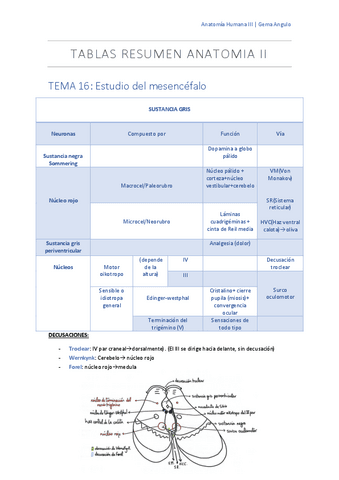 tablas-resumen-mesencefalo-bulbo-raquideo-cerebelo.pdf
