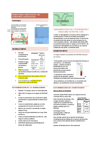 HEMOGLOBINA-HEMATOCRITO-VSG-CONSTANTES-CORPUSCULARES.pdf