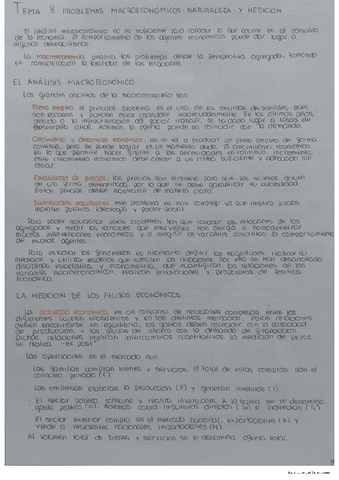 Tema-8.pdf