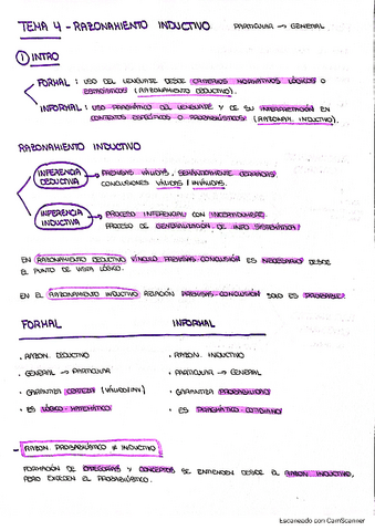 Tema 4 razonamiento inductivo.pdf
