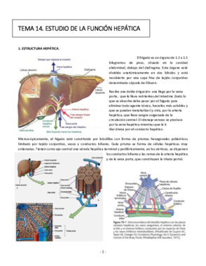 Tema 14. Estudio de la función hepática.pdf