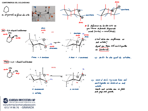 TEMA-2-CONFORMEROS-EJERCICIOS.pdf