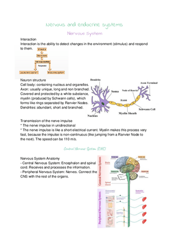 Nervous-and-endocrine-system.pdf