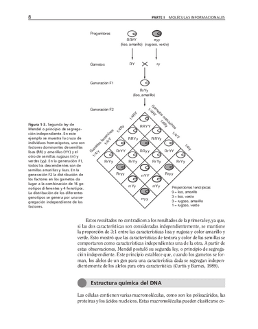 biologia-celular-y-molecular-13.pdf